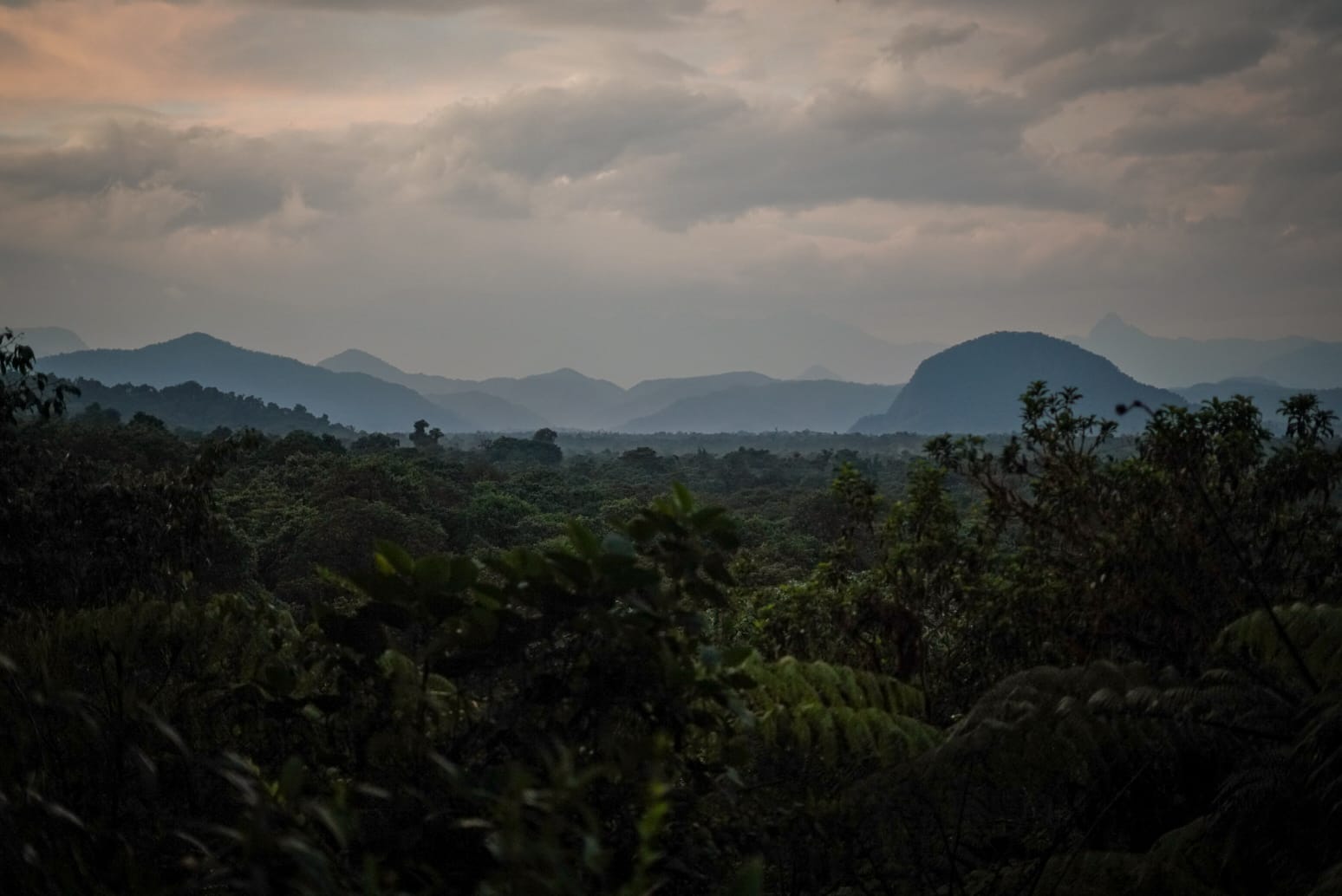 Visita la Reserva Natural La Planada